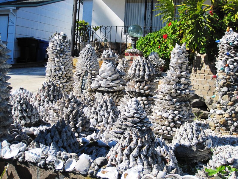 Point Loma’s unique ‘shell garden’ brings waves of fascination